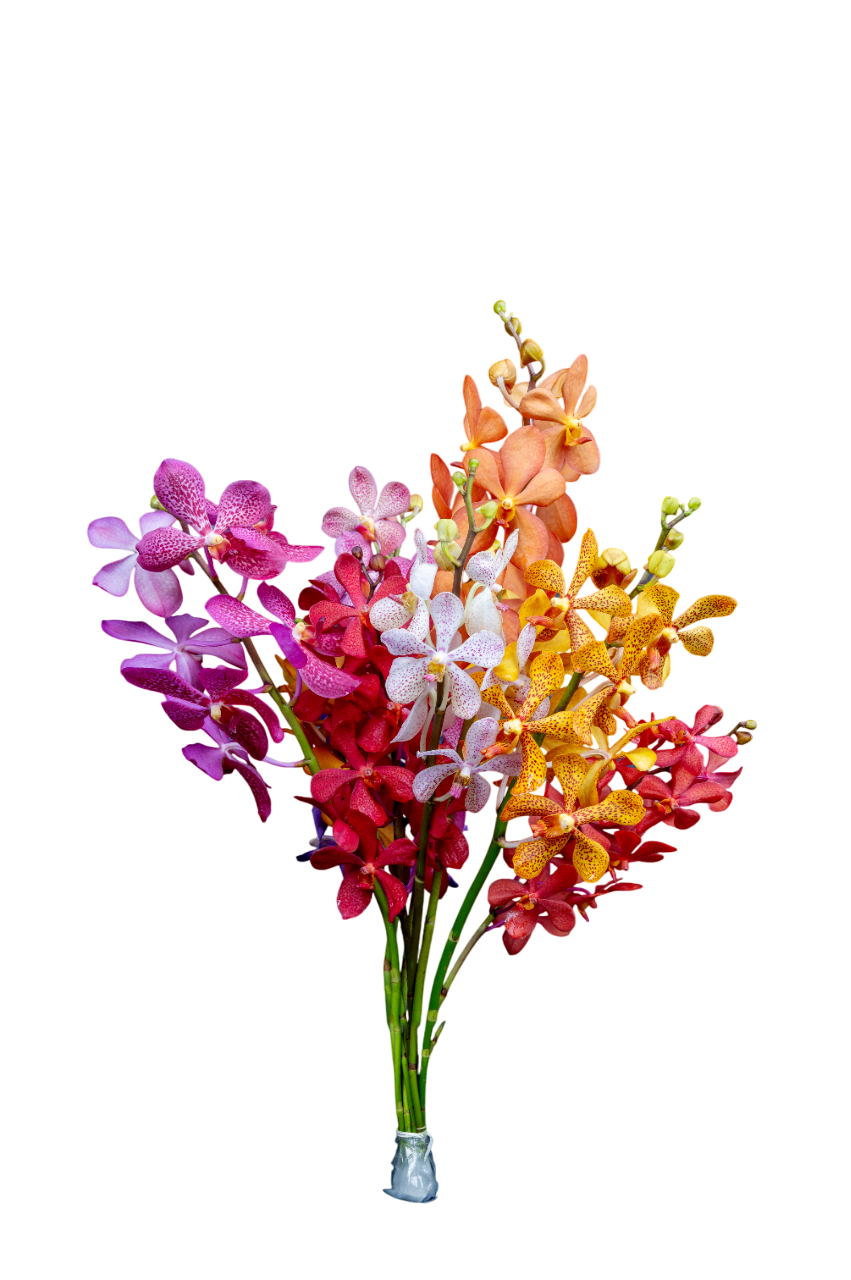 Decoration Flowers – Gallery | Flower Sale Online South India – Nini ...